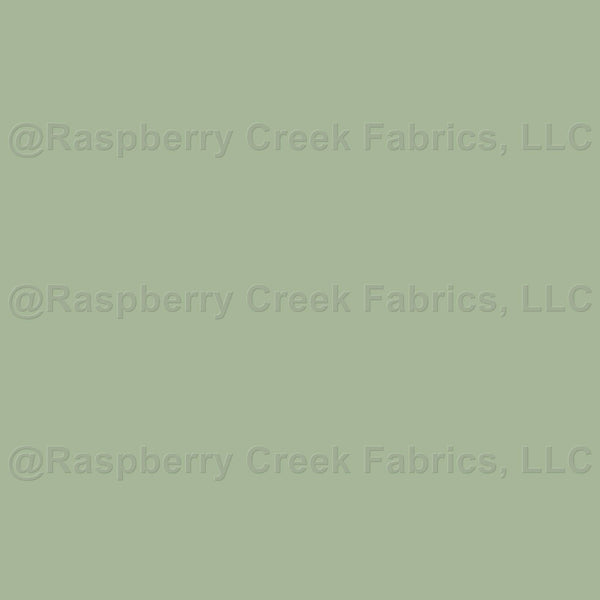 Classic Pooh and Friends Soft Sage Green Solid - Raspberry Creek Fabrics