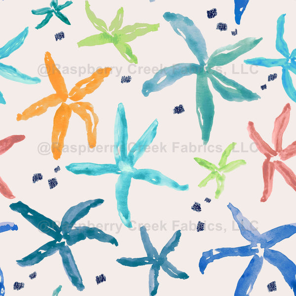 Beach, summer, family, Florida, boys, kids, swim, vacation, starfish ...