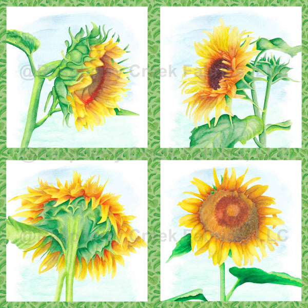 Sunflower Quilt Panel Squares - Sunflower Bright collection - Raspberry ...