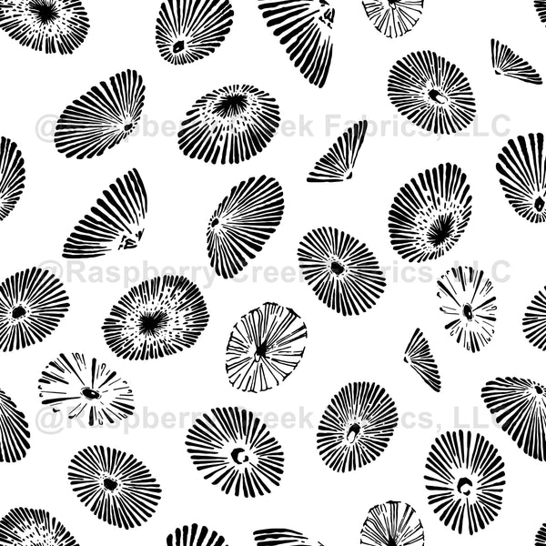 Tossed Black Limpets on White, Opihi Black and White Collection ...