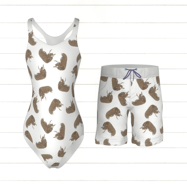 Cicada Nymph Toss Pattern of brown cicada periodical cicada emergence ...