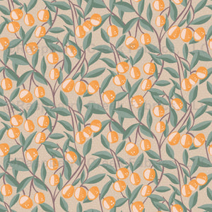 Clementines, tangerines, small oranges. All perfect summer fruits ...