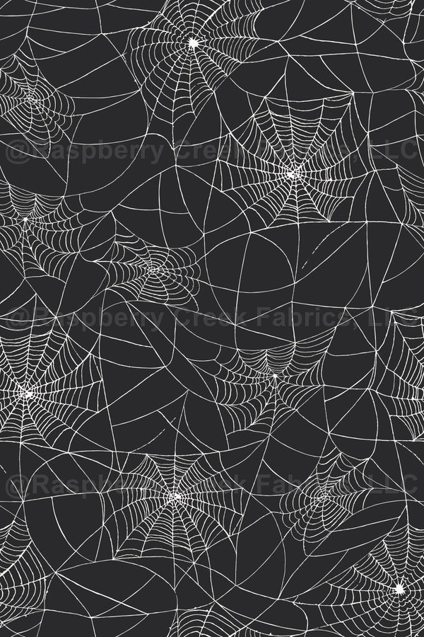Spider Web - Dark Grey - Raspberry Creek Fabrics