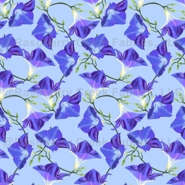 Painterly gouache morning glory flowers on side view on a light blue c ...