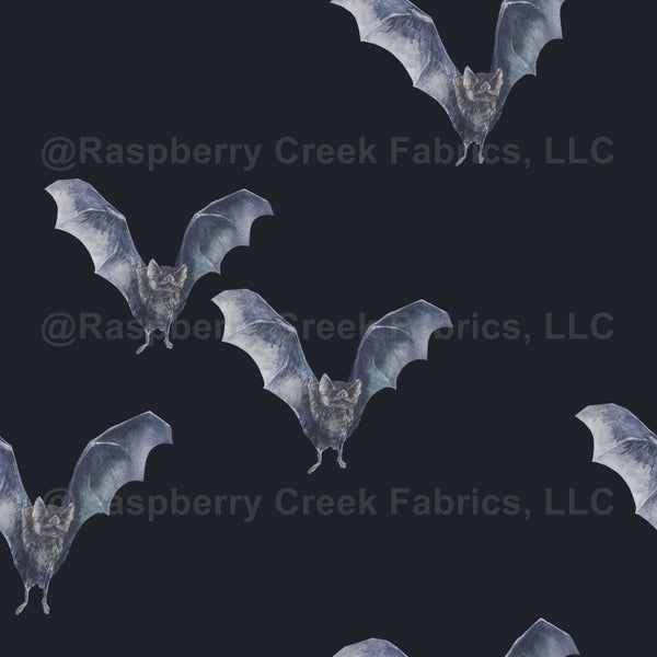 Beautifully hand illustrated Vampire Bats on a dark blue background ...
