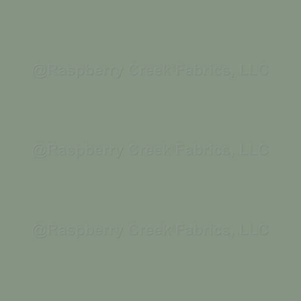 Spanish Green Solid Color green - Raspberry Creek Fabrics