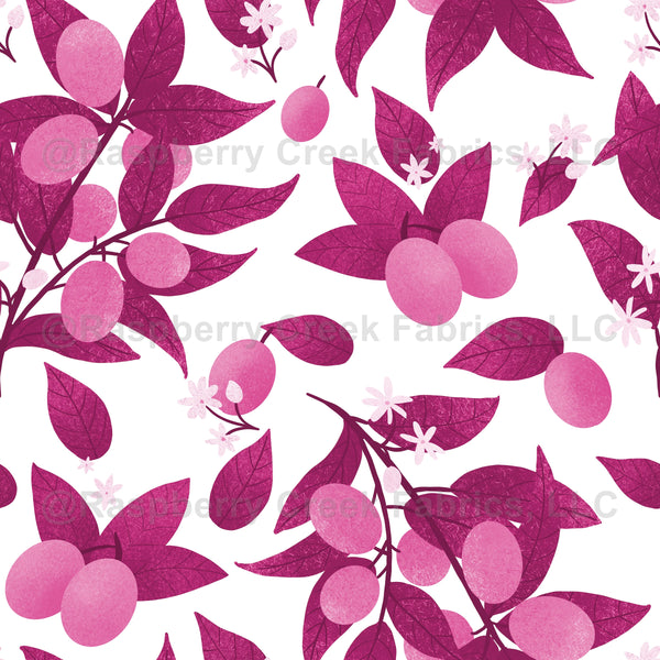 Magenta berries and leaves on white background wallpaper - Raspberry ...