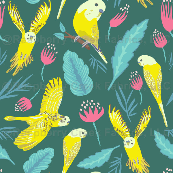 Yellow budgerigar - Raspberry Creek Fabrics